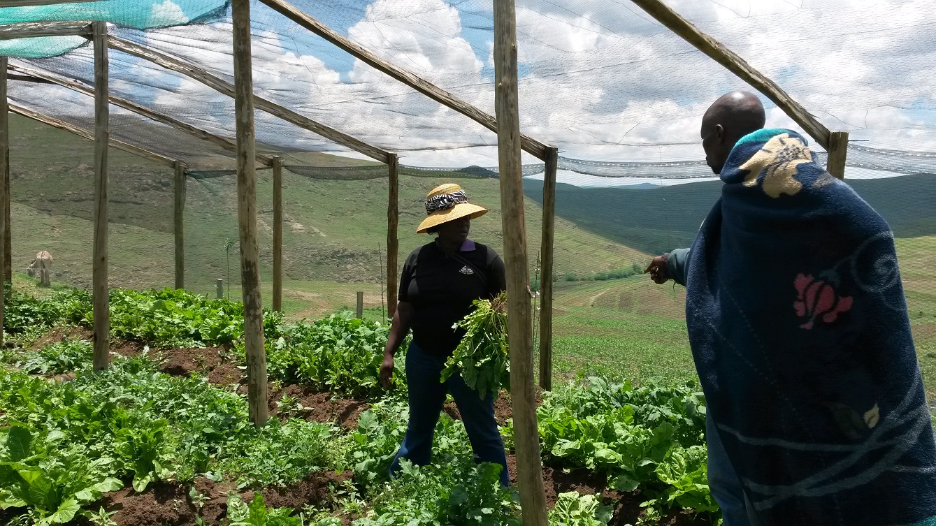 Resources - Livelihoods Centre
