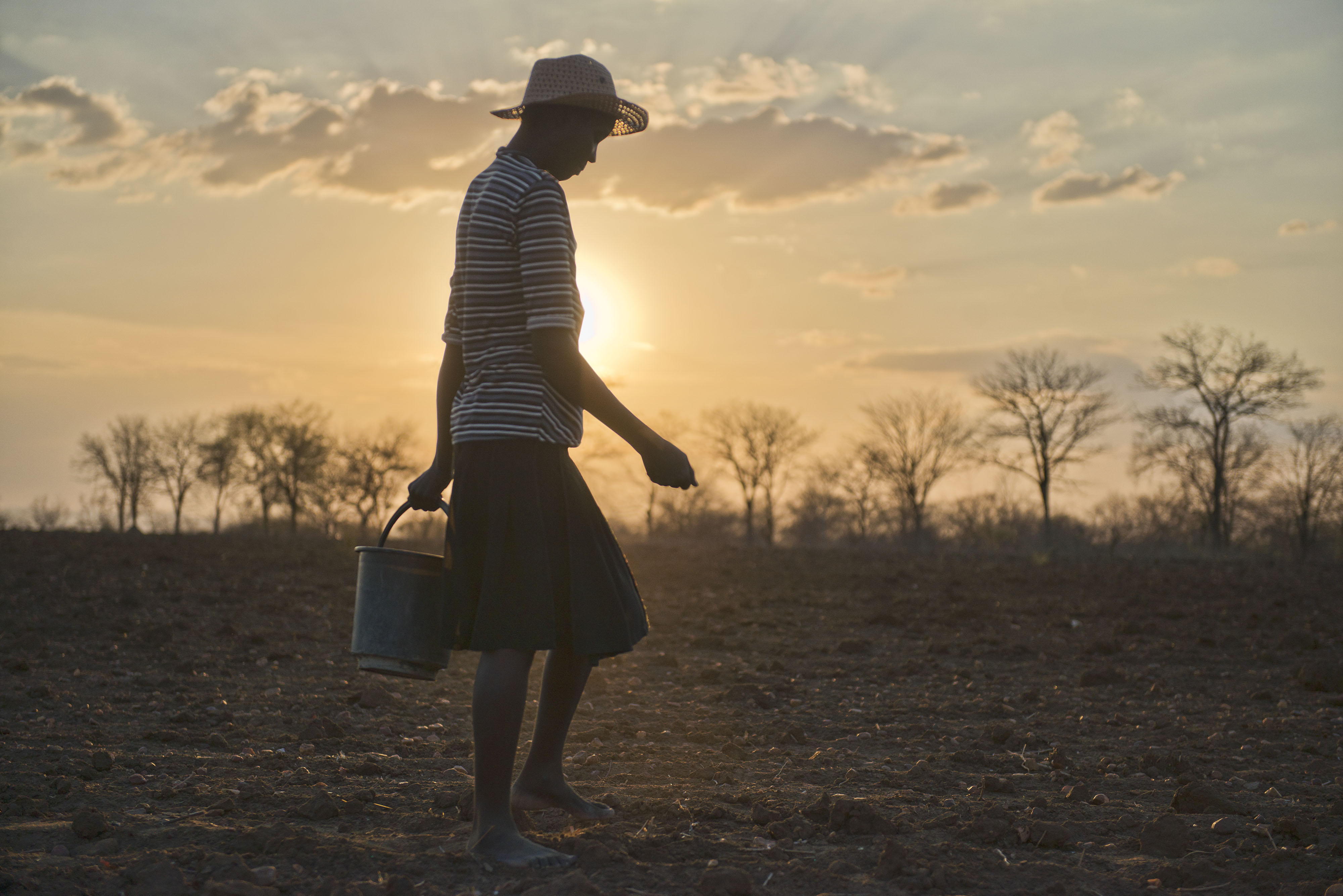 Resources - Livelihoods Centre