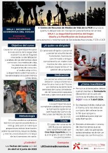 Programme guidance detail - Livelihoods Centre